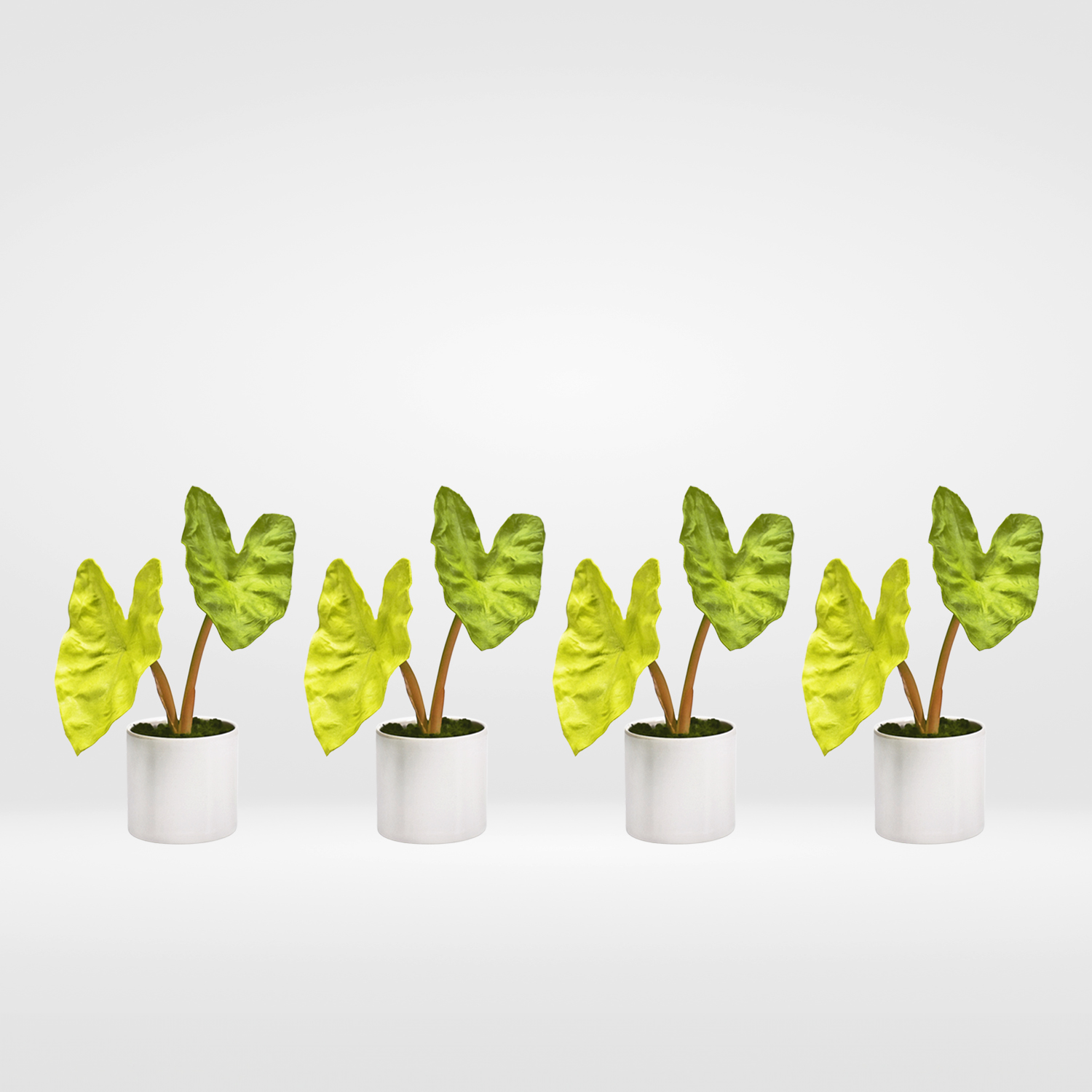 Artificial Zebrina Cordate Leaf Alocasia Mini – 2 Leaves – 4 Pack of 7 ...