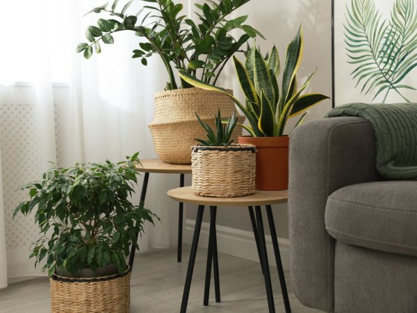 Contact Us | Vert Nook